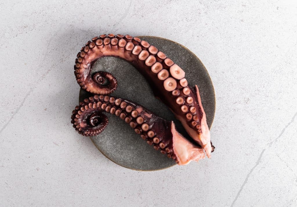 Pulpo - Reyes Varón